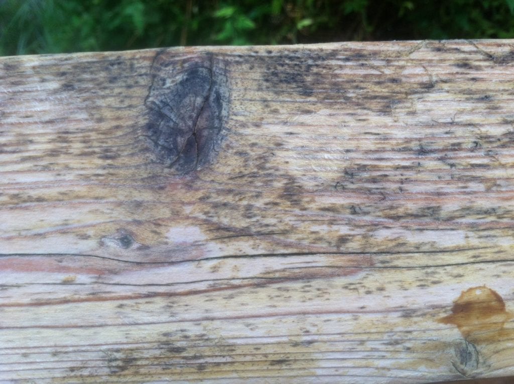 Dealing with Mold and Mildew on Wood Decks and Surfaces